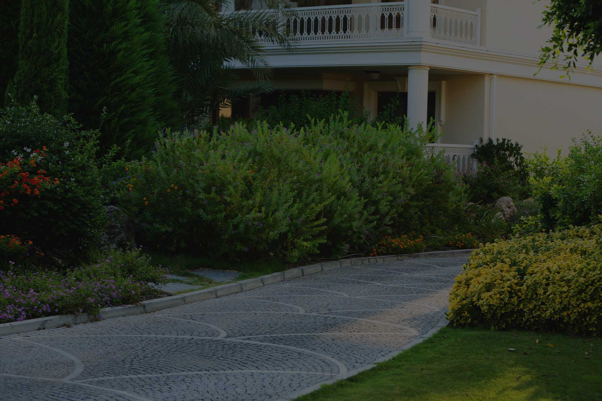 Luxury Landscape & Design